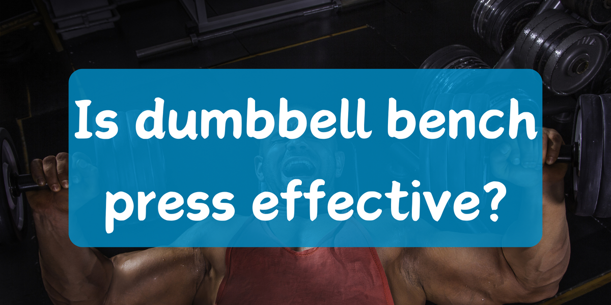 Is dumbbell bench press effective? – Elephant Jay
